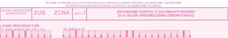 Co to jest druk ZCNA i jak go wypełnić? - FirmowaKasa.pl